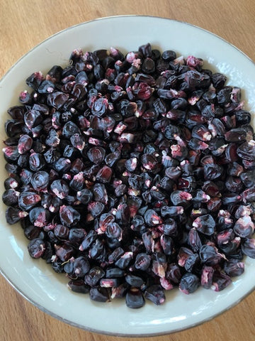 Corn Seeds